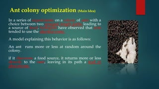 Ant Colony Optimization(ACO) (Swarm intelligence)pptx | PPT