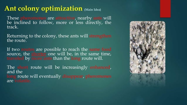 Ant Colony Optimization(ACO) (Swarm intelligence)pptx | PPT