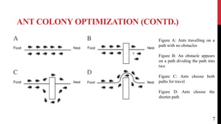 Ant Colony Optimization and path planning.pptx