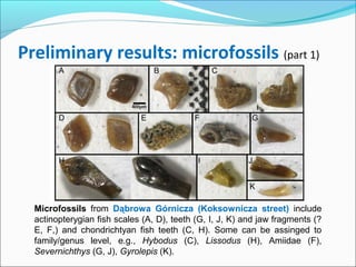Middle Triassic (Muschelkalk) micro- and macrovertebrate remains from ...