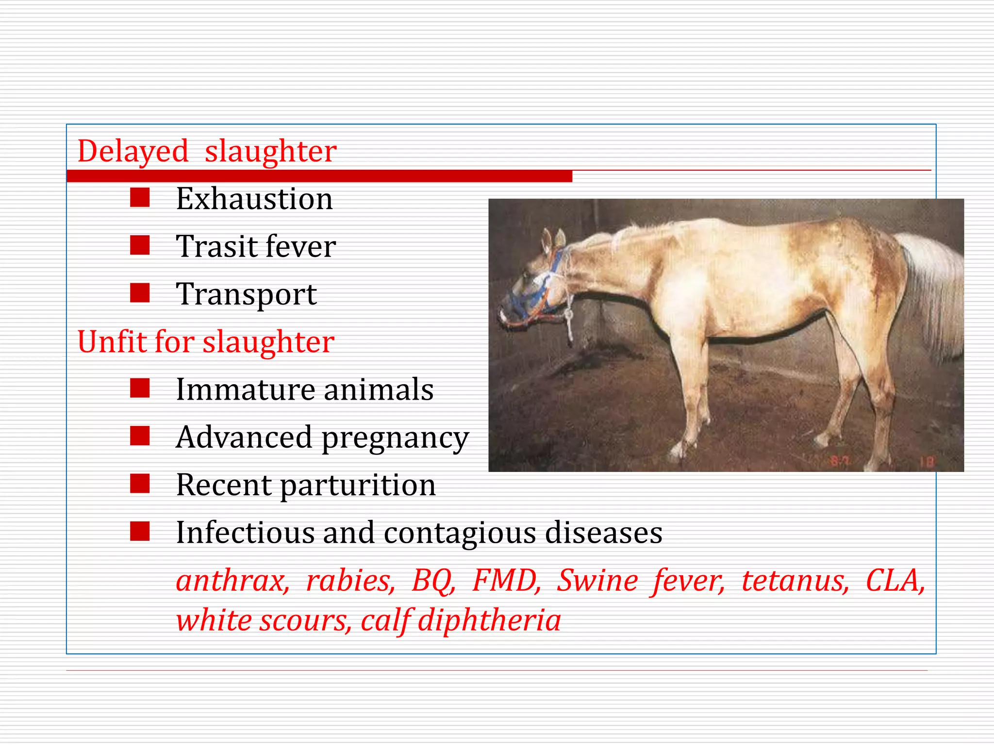 Ante-mortem-Examination-1.ppt