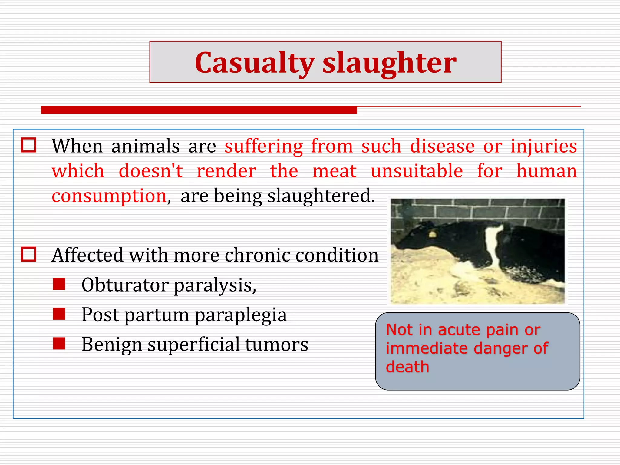 Ante-mortem-Examination-1.ppt