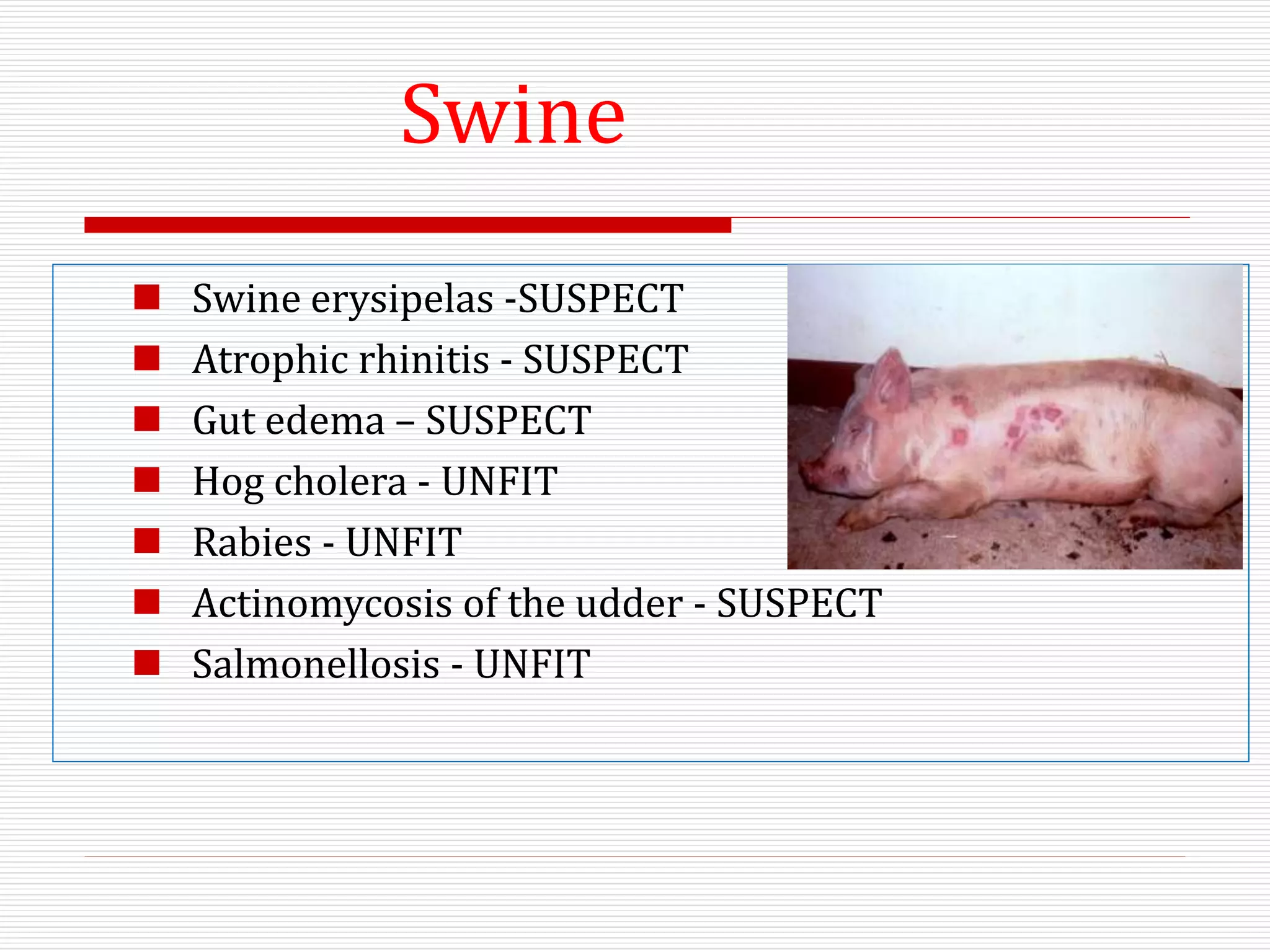 Ante-mortem-Examination-1.ppt