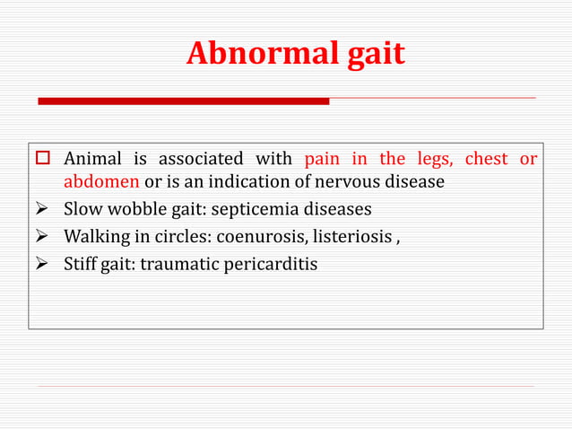 Ante-mortem-Examination-1.ppt | Veterinary Medicine | Pets