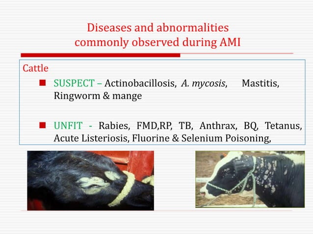 Ante-mortem-Examination-1.ppt | Veterinary Medicine | Pets