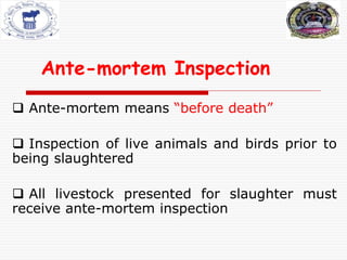 Ante-mortem-Examination edition.FOR UGppt | PPT