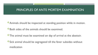 The Ante-Mortem examination of animals.pptx