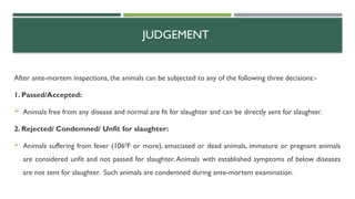 The Ante-Mortem examination of animals.pptx