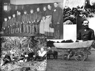 Antebellum Immigration Powerpoint | PPT