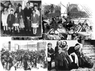 Antebellum Immigration Powerpoint | PPT