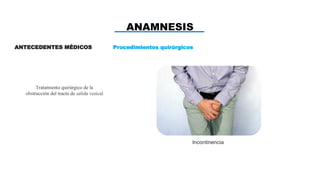 Semiologia Antecedenetes urologicos.ppt