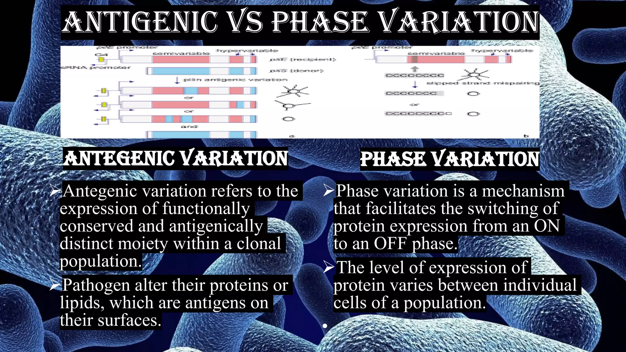 ANTEGENIC VARIATION IN BACTERIA.pdf