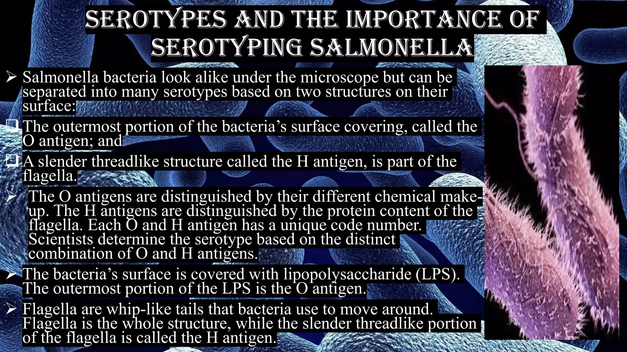ANTEGENIC VARIATION IN BACTERIA.pdf