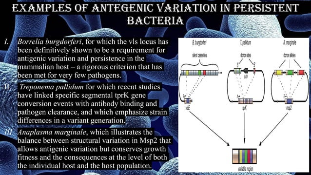 ANTEGENIC VARIATION IN BACTERIA.pdf