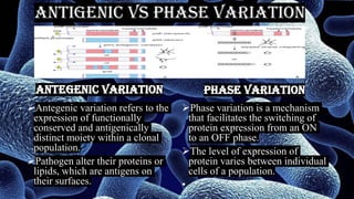 ANTEGENIC VARIATION IN BACTERIA.pdf