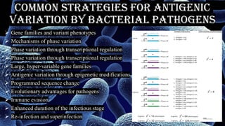 ANTEGENIC VARIATION IN BACTERIA.pdf