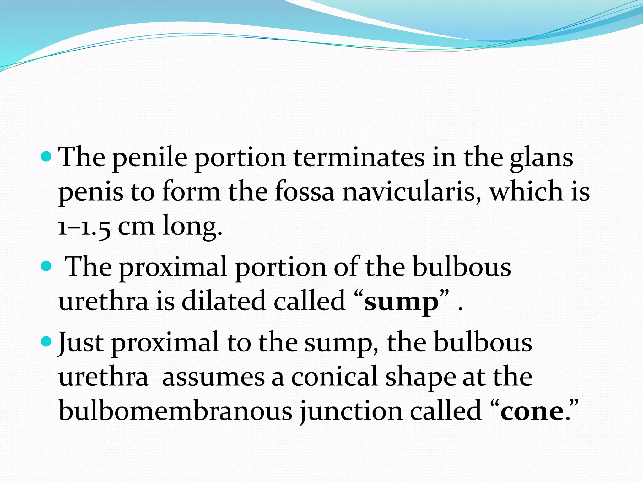 Antegrade & retrograde urethrogram | PPTX