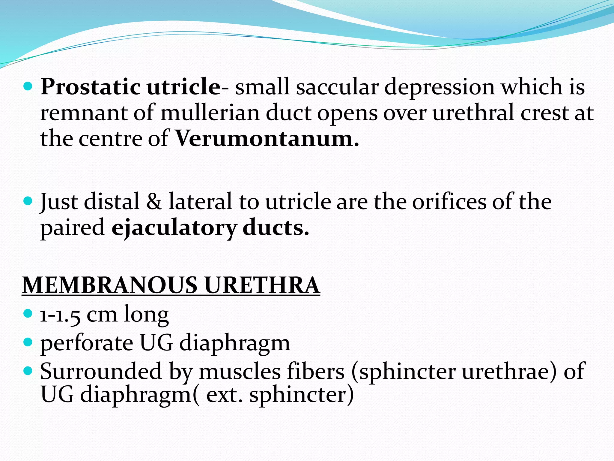 Antegrade & retrograde urethrogram | PPTX