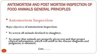 Antemortem Examination P#10.pptdddddddfre | PPT