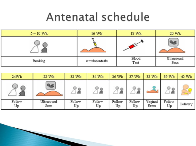Antenatal assessment | PPT | Pregnancy | Reproductive Health