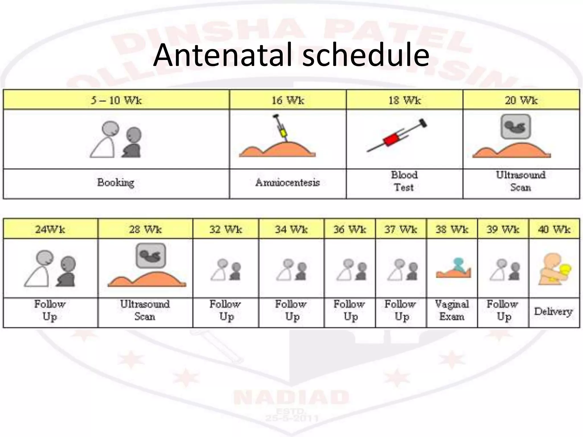 Antenatal assessment | PPSX
