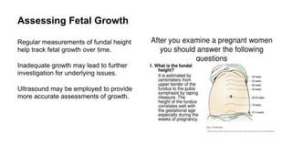 Antenatal Assessment details antenatal care | PPT