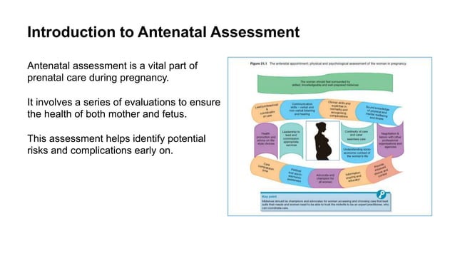 Antenatal Assessment details antenatal care | PPT