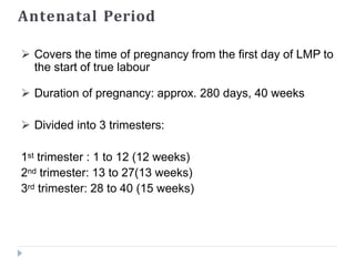 Antenatal Care explanation Mechanism, method | PPT