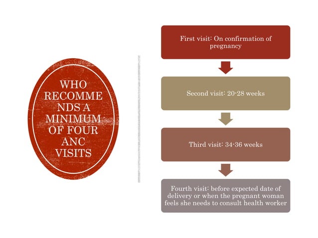 Antenatal care by sinothando mazinyo.pptx