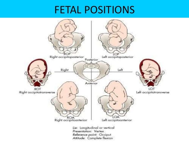 Antenatal care and examination