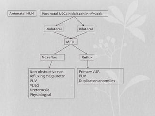 Antenatal counselling and postnatal management of obstructive uropathy ...