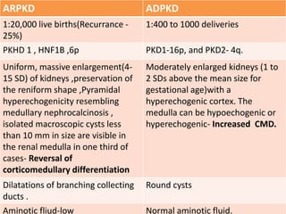Antenatal diagnosis of kidney diseases | PPTX | Pregnancy ...