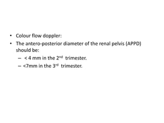 Antenatal diagnosis of kidney diseases | PPTX