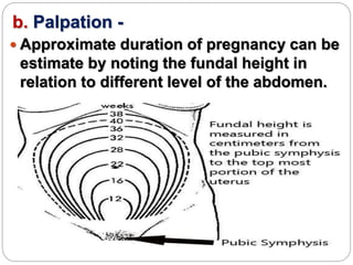 Antenatal diagnosis of preg ppt | PPT