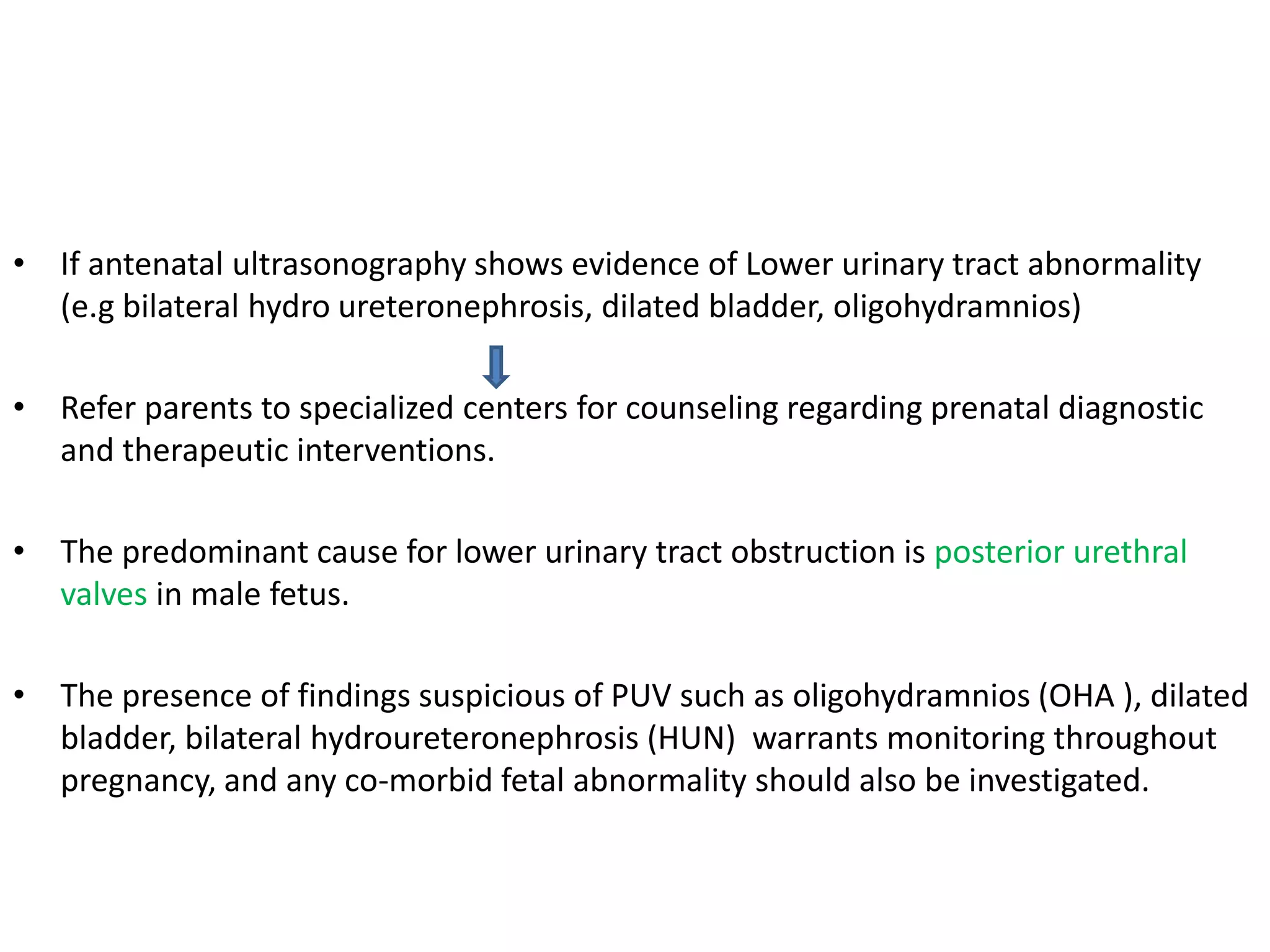 Antenatal hydronephrosis | PPTX