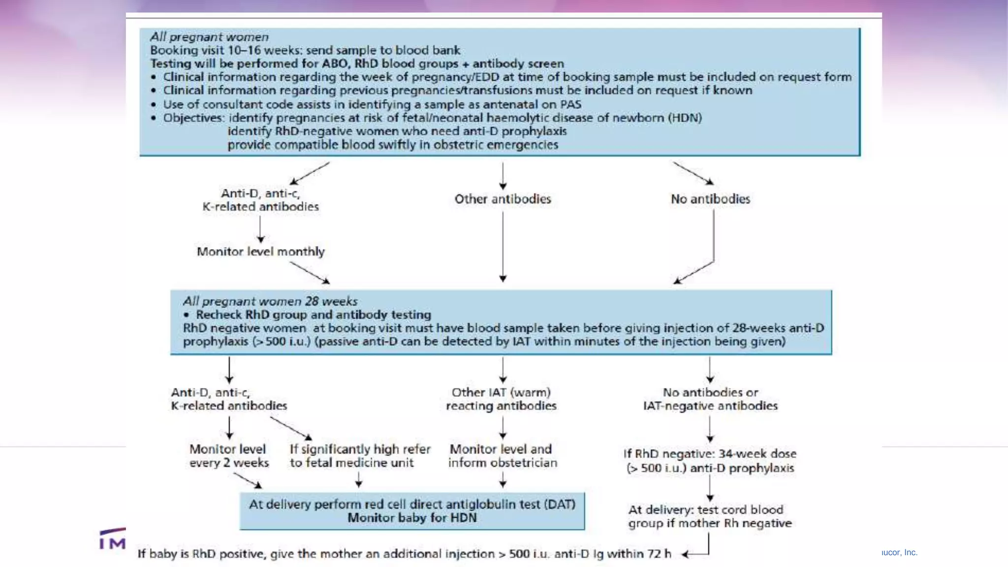 Antenatal screening for prevention of HDFNpptx | PPTX