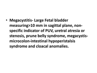 Antenatal ultrasound | PPTX