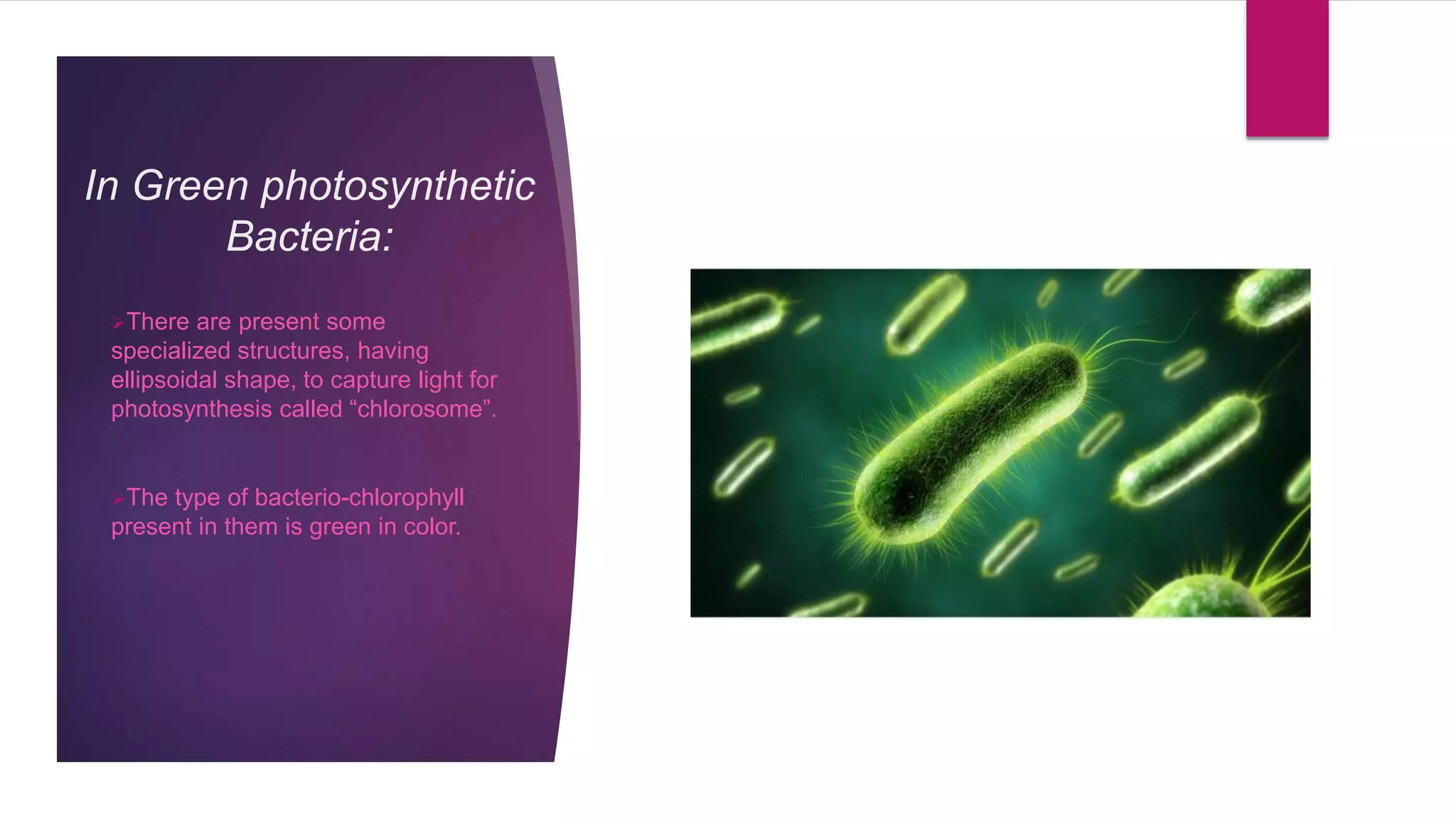 Antenna Complex Light-Harvesting Complex.pptx | Chemistry | Science