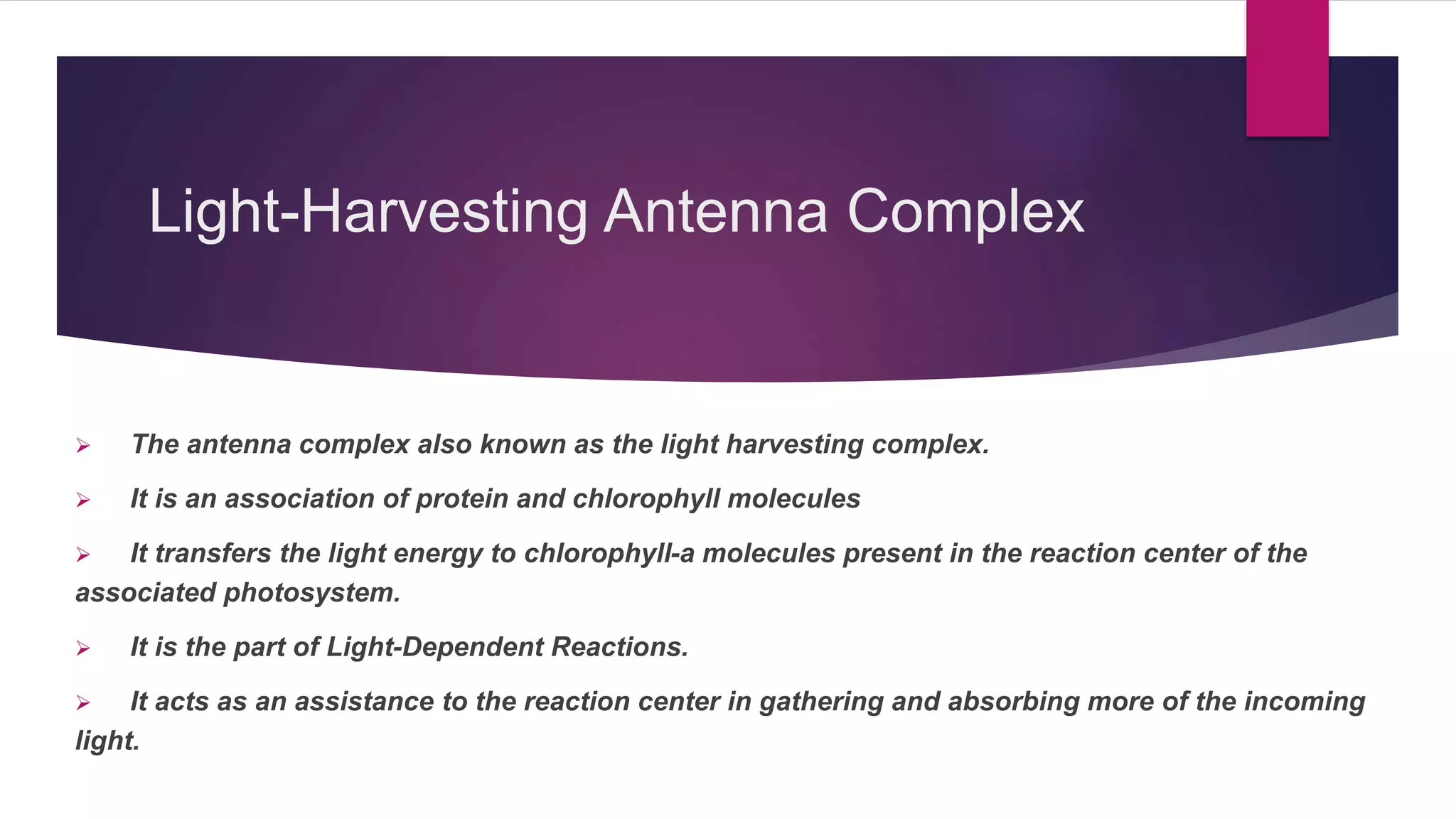Antenna Complex Light-Harvesting Complex.pptx