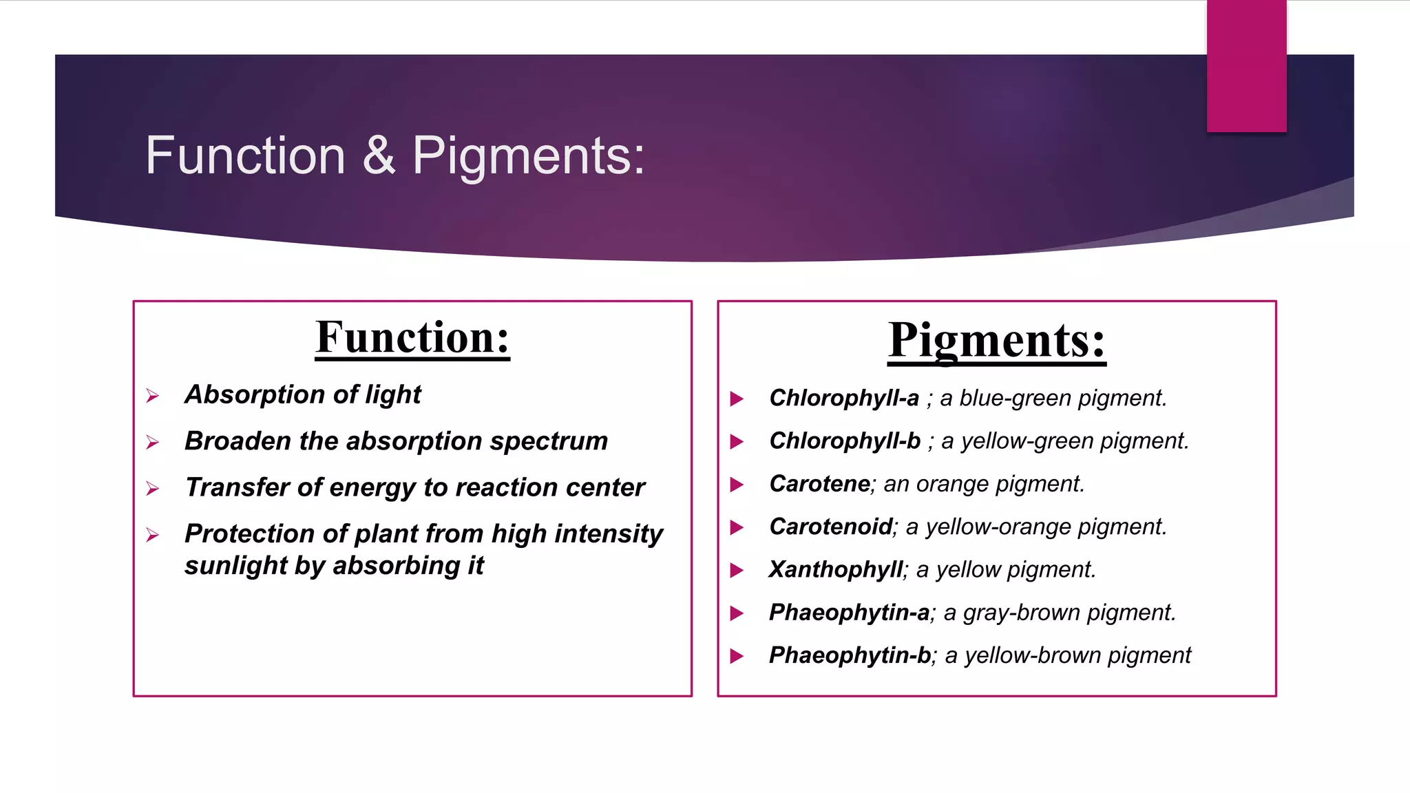 Antenna Complex Light-Harvesting Complex.pptx