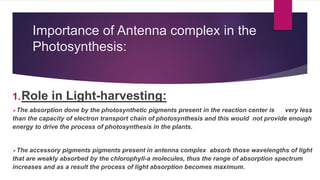 Antenna Complex Light-Harvesting Complex.pptx | Chemistry | Science