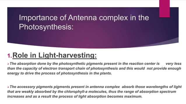 Antenna Complex Light-Harvesting Complex.pptx | Chemistry | Science