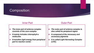 Antenna Complex Light-Harvesting Complex.pptx | Chemistry | Science