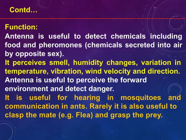 Structure and modification of Antennae.pptx