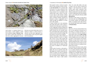 Escursioni ad anello in Canton Ticino | PPT