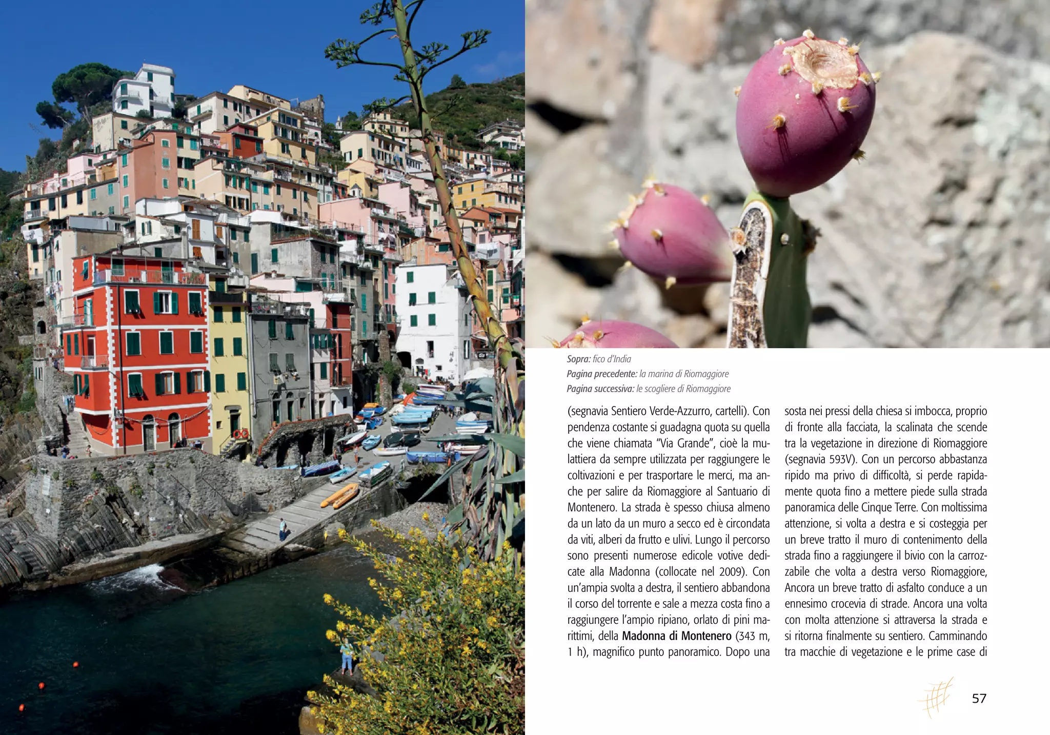 Escursioni alle Cinque Terre | PDF