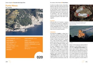 Escursioni alle Cinque Terre | PDF