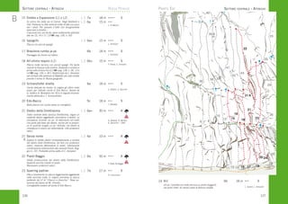 Rocca Pendice - ed. 2 | PPT