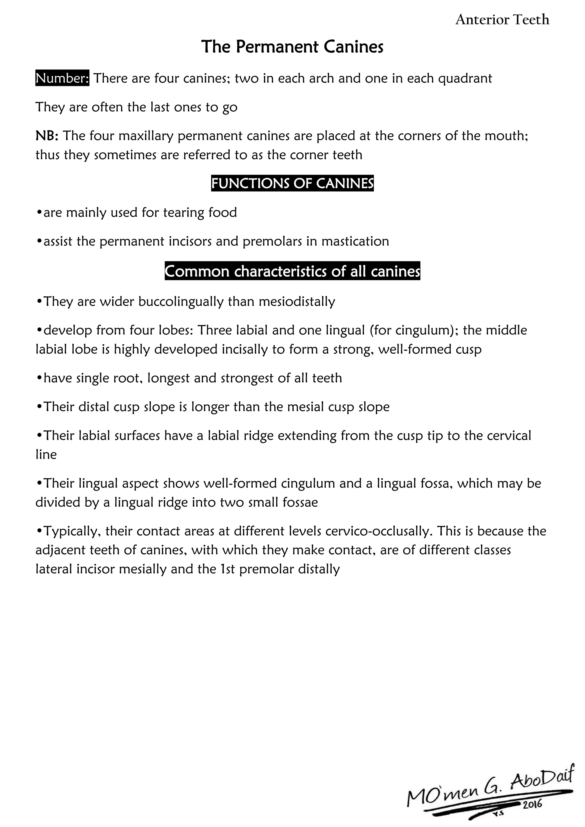 The Anterior Teeth | PDF