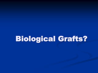 Anterior Compartment Prolapse: Biological Grafts | PDF